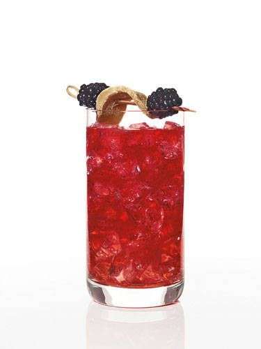 Hail to the Chief Cocktail Skyy Vodka | JDuce Design